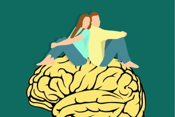 Le cerveau reptilien : découvrez comment cette partie primitive de ...