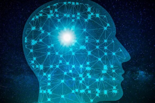 Le cerveau reptilien : découvrez comment cette partie primitive de ...
